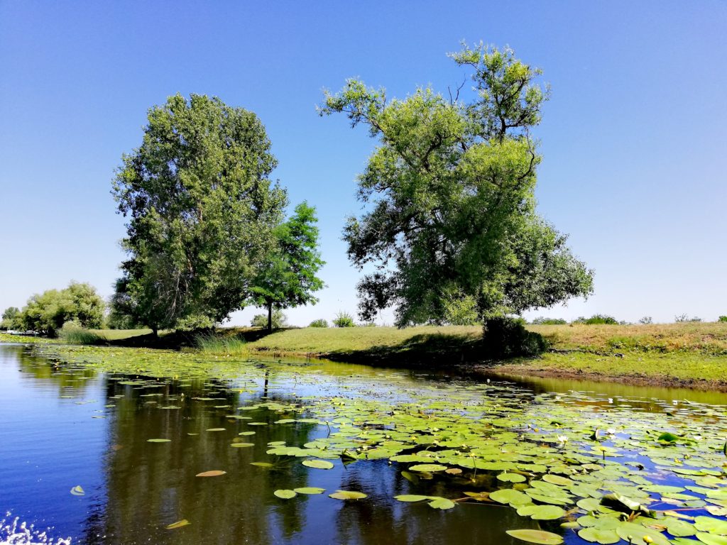 Donaudelta Beste Reisezeit